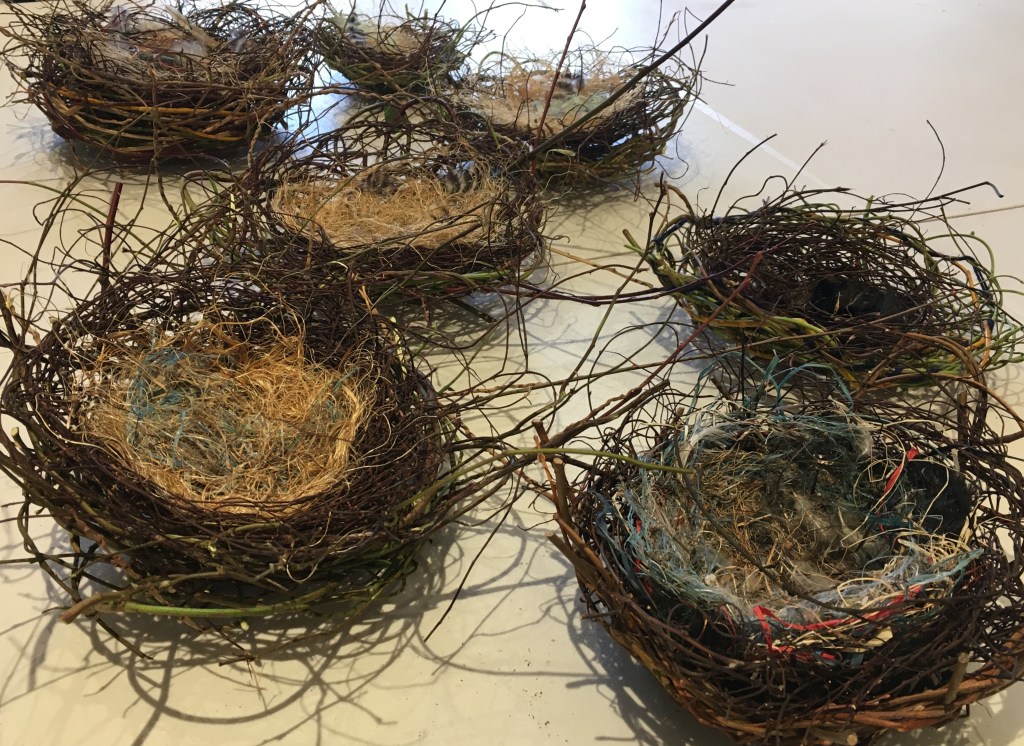 Plant walk, string making and nests… – Jodie Goldring