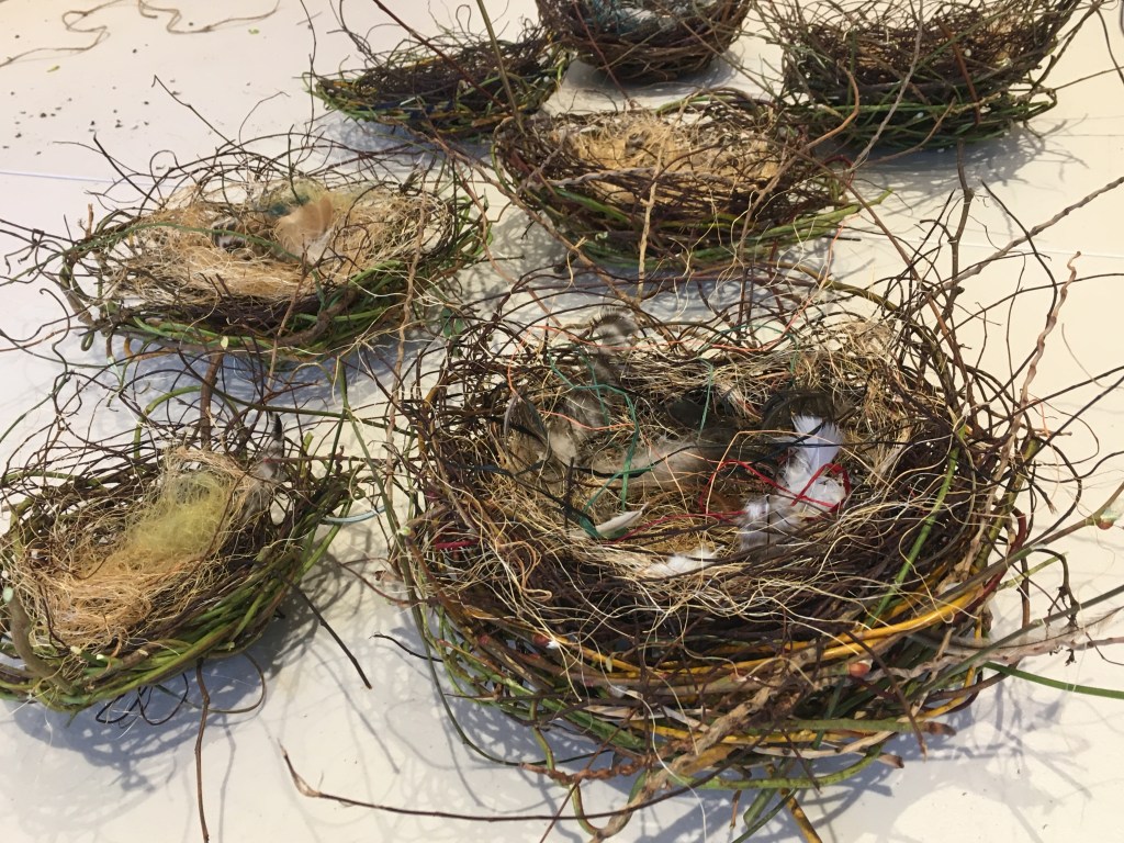 Plant walk, string making and nests… – Jodie Goldring